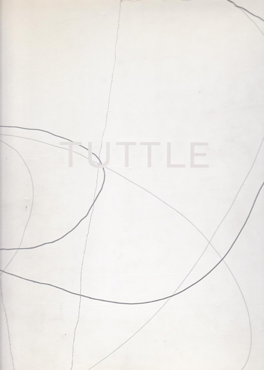 The Art of Richard Tuttle: Madeleine Grynsztejn: 9781933045009: Amazon ...