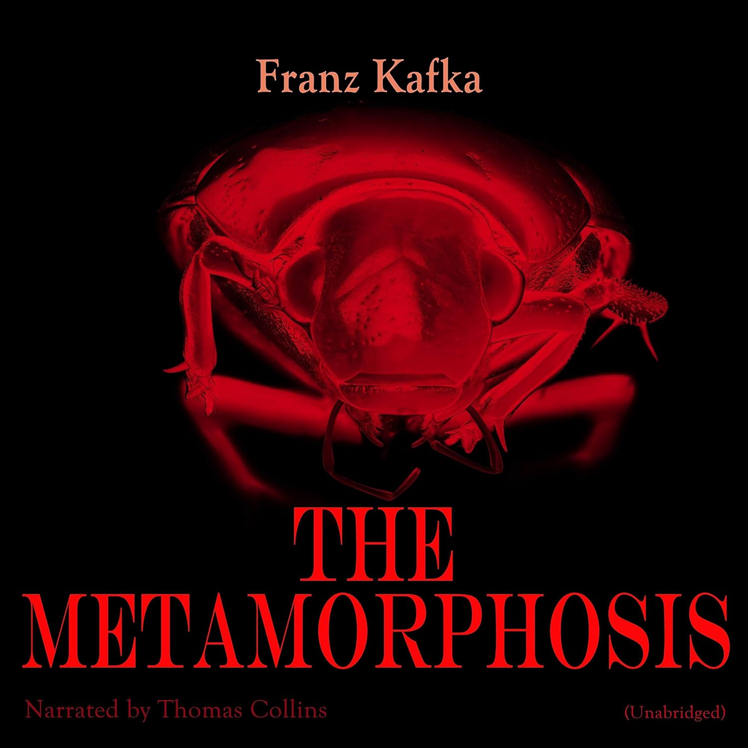 Amazon.com: The Metamorphosis (Audible Audio Edition): Franz Kafka ...