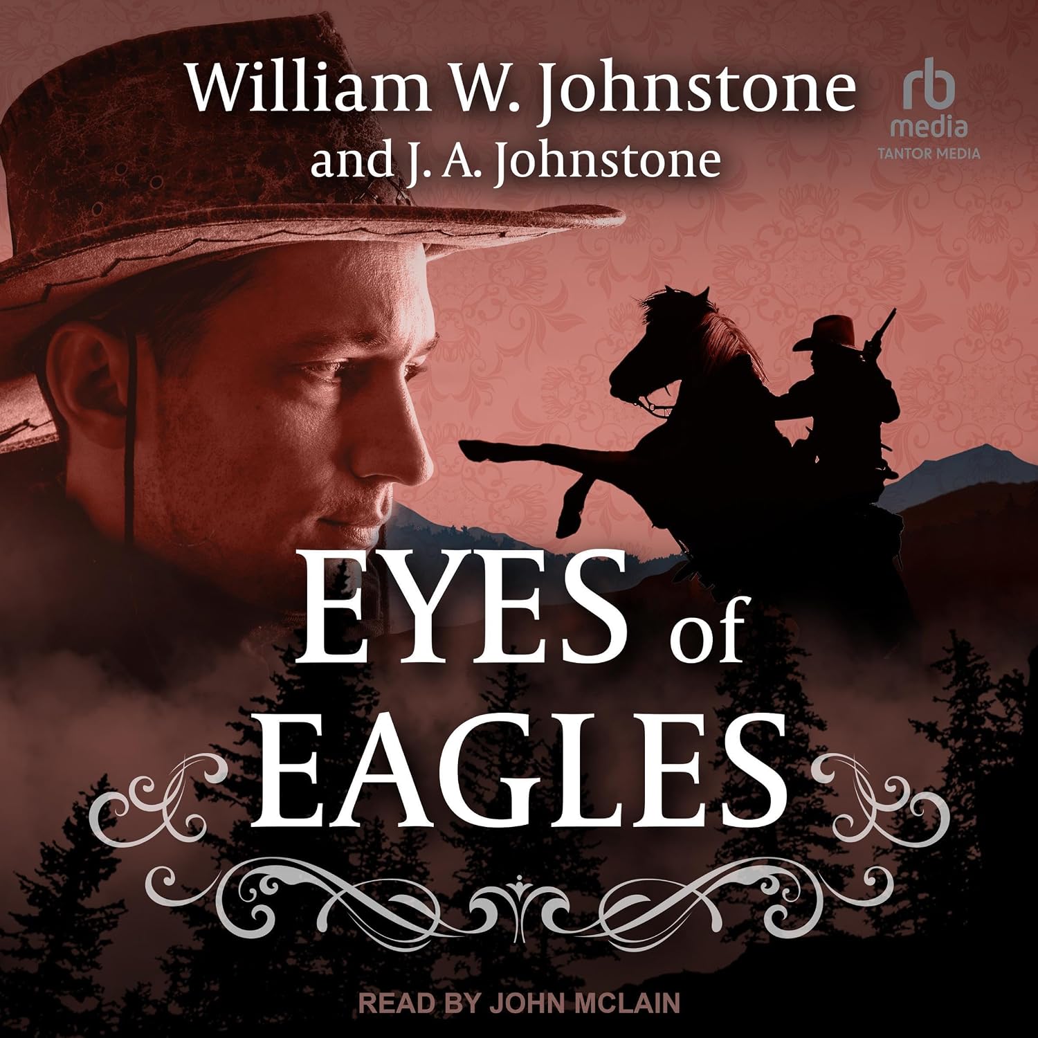 Amazon.com: Eyes of Eagles: Eagles, Book 1 (Audible Audio Edition ...