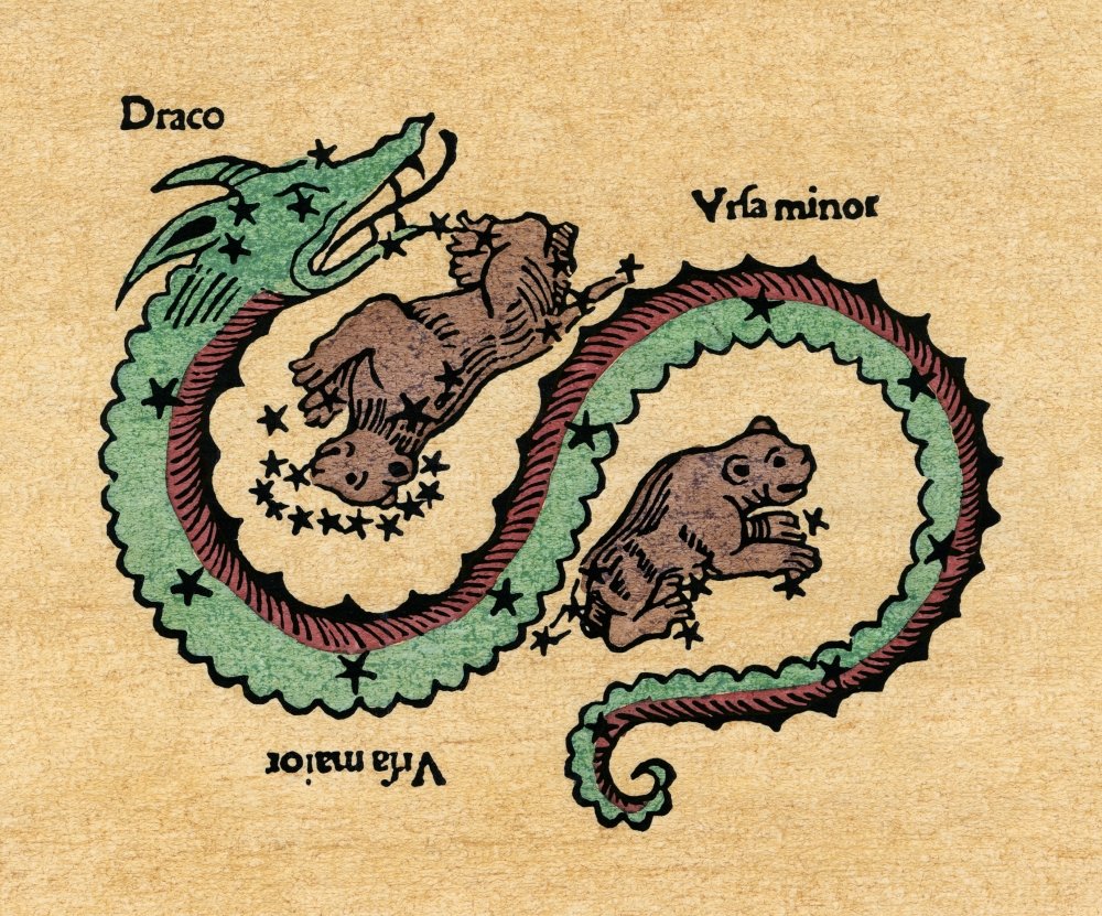 Buy Draco 1482 Nfiguration Of The Constellations Draco Ursa Major (Big ...