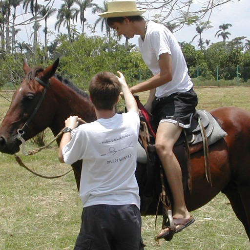 Horseback Riding Wallpaper -- HD Wallpapers of Horseback Riding! - App ...