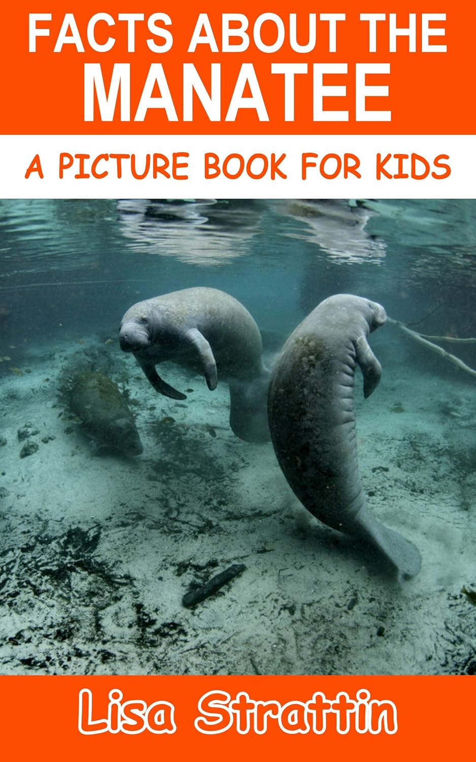 Facts About the Manatee (A Picture Book For Kids 249) - Kindle edition ...