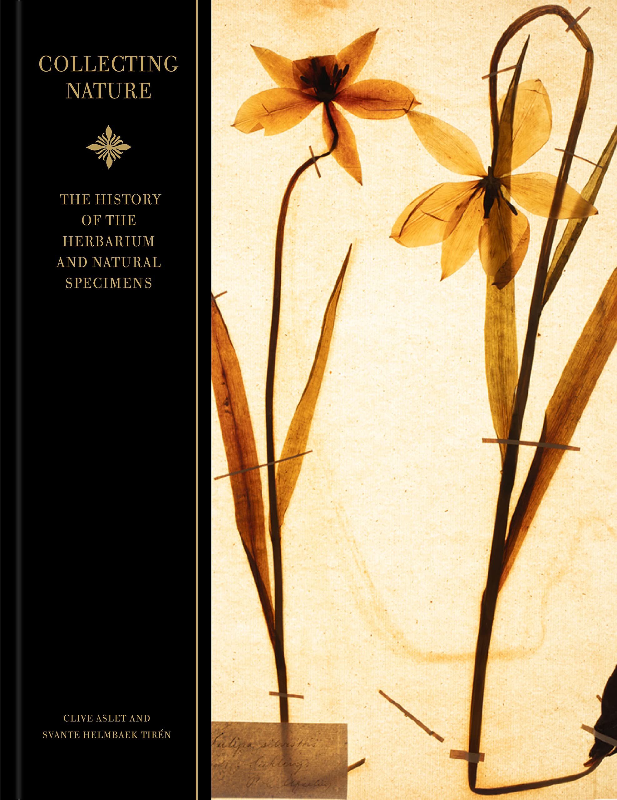 Collecting Nature The History Of The Herbarium And Natural Specimens ...
