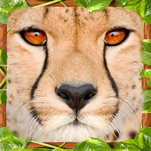Cheetah Survival Simulator 3D - App on Amazon Appstore