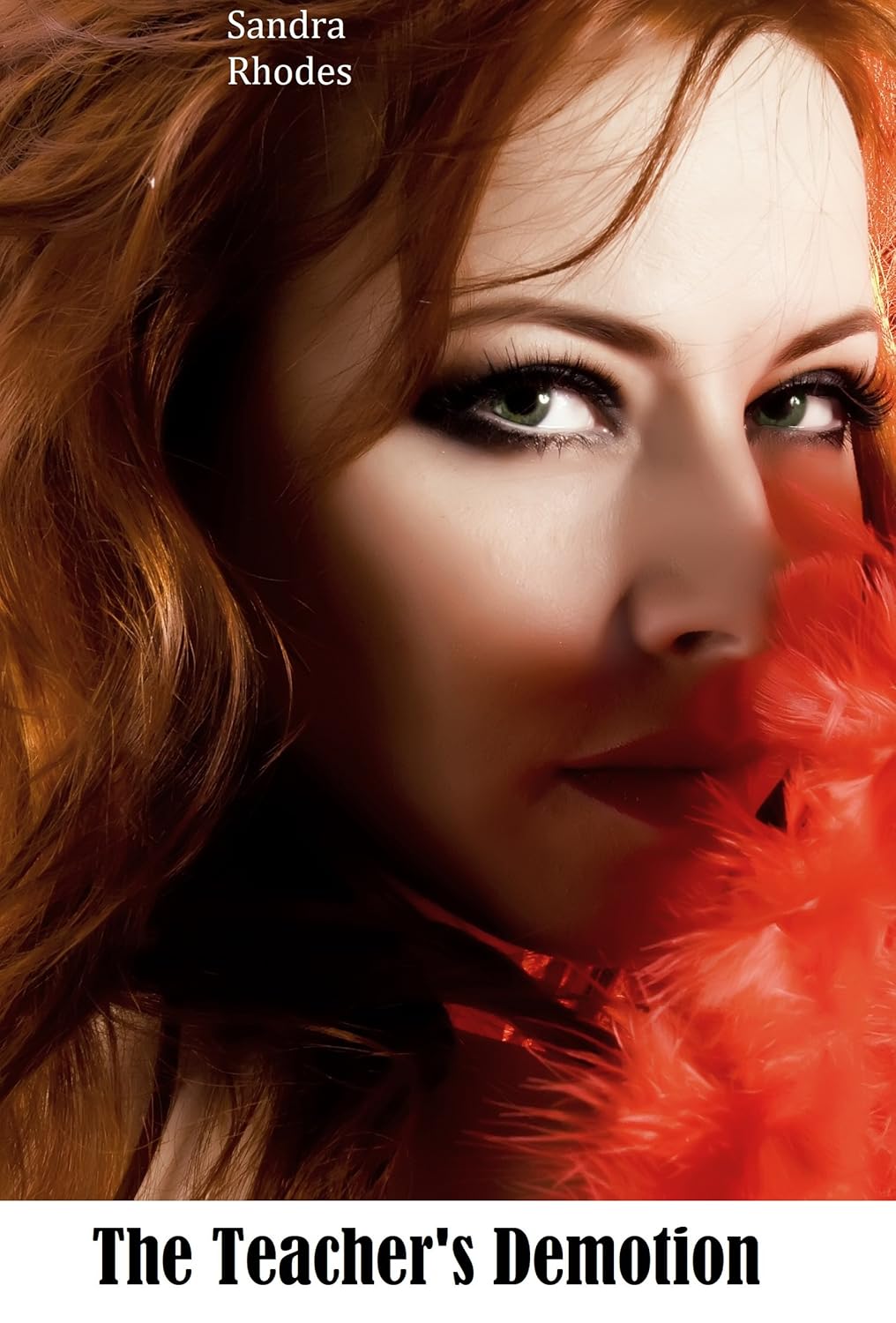 Amazon.co.jp: The Teacher's Demotion (English Edition) eBook : Rhodes ...