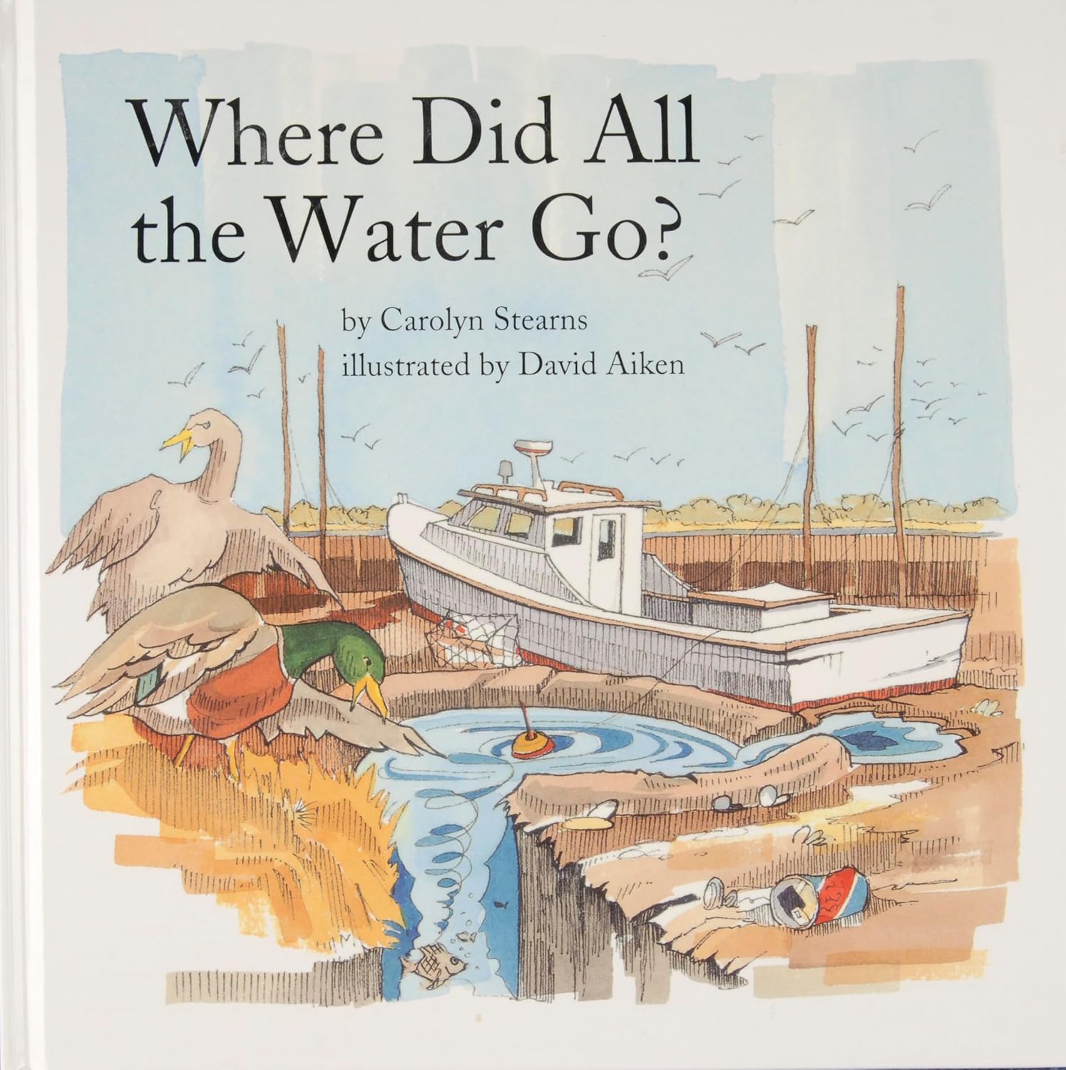 Where Did All the Water Go?: Stearns, Carolyn: 9780870335068: Amazon ...