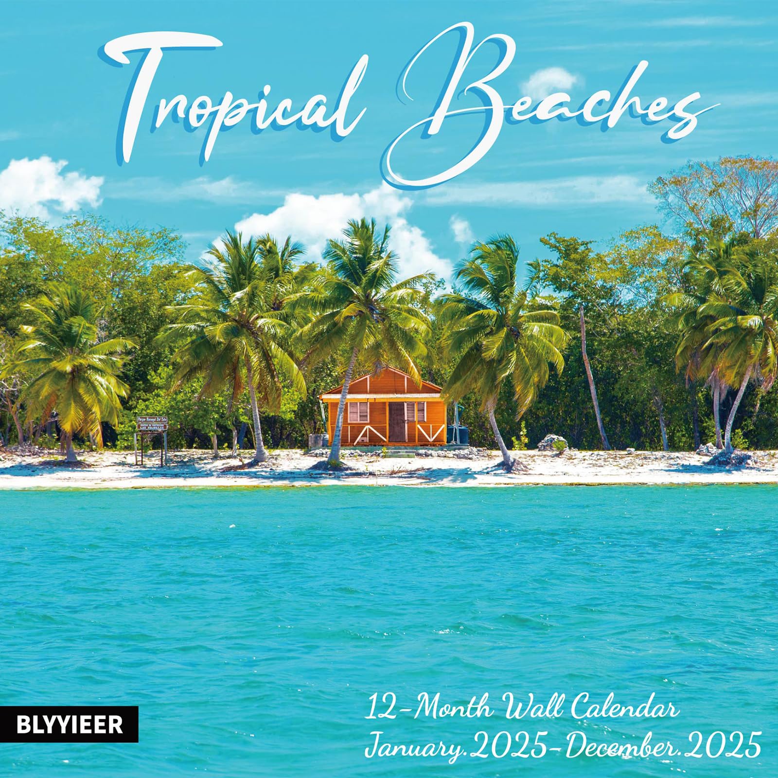Amazon.com: 2025 Wall Calendar Tropical Beaches, Hangable Tropic BEACH ...