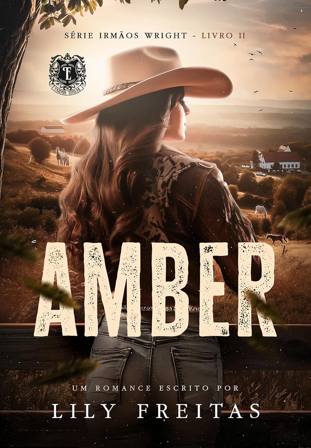 Amazon.com.br eBooks Kindle: Amber: Série Irmãos Wright - Livro 2, Freitas, Lily