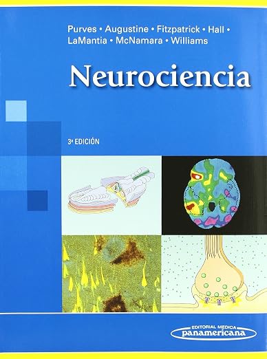 Amazon.com: Neurociencia: 9788498353624: Purves Dale, George: Libros