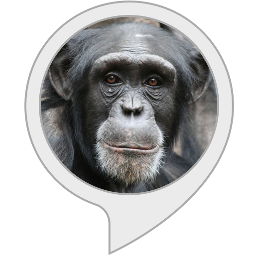 Amazon.com: Monkey Facts : Alexa Skills