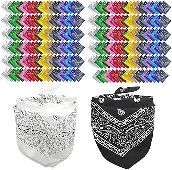Amazon.com: WHEATHUSK 240 Pcs Bandanas For Men Women Colored Paisley ...