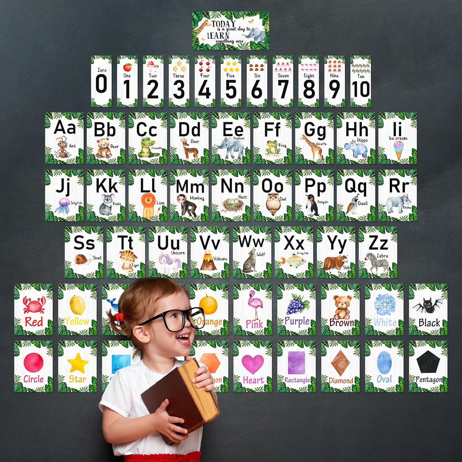 Faccito 58 Pcs Eucalyptus Alphabet Number Bulletin Sri Lanka | Ubuy