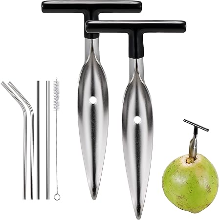 Amazon.com: CSCTEK Coconut Tool,Stainless Steel Coconut Meat Remover ...