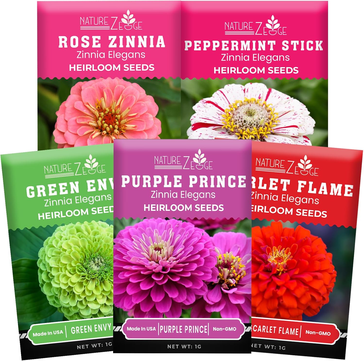 Amazon.com : NatureZ Edge Zinnia Seeds for 2025 Planting Outdoors, Over 650 Flower Seeds, 5g ...