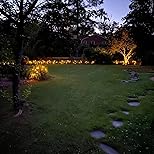 Cnkeeo Solar Firefly Lights with Remote, 4 Pack Solar Lights Outdoor Waterproof, Solar Pathway ...