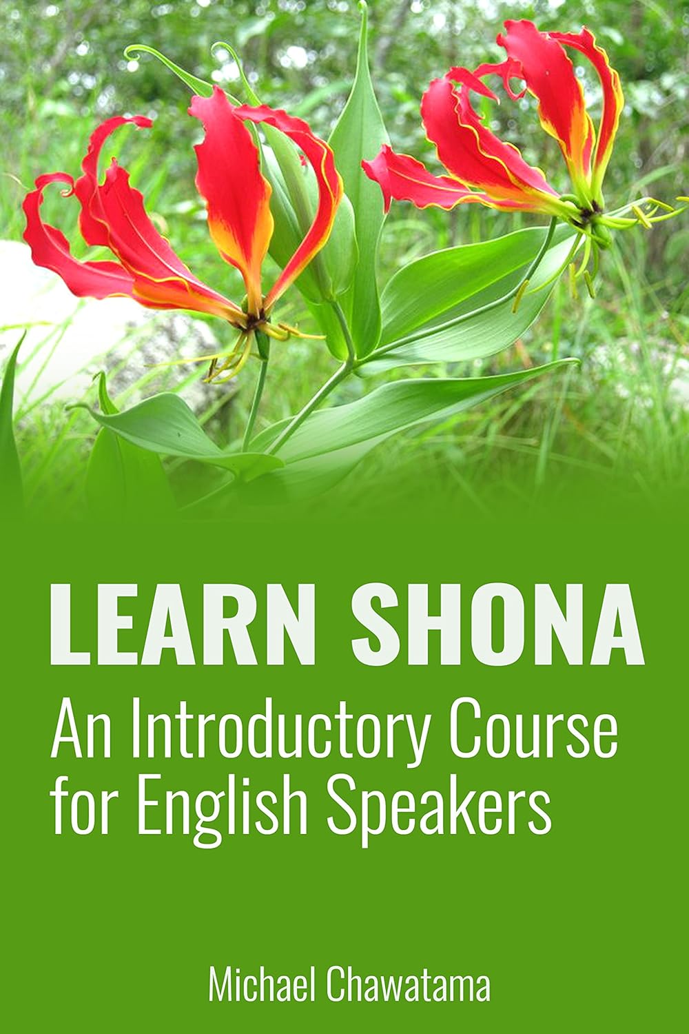 Learn Shona: An Introductory Course for English Speakers - Kindle ...