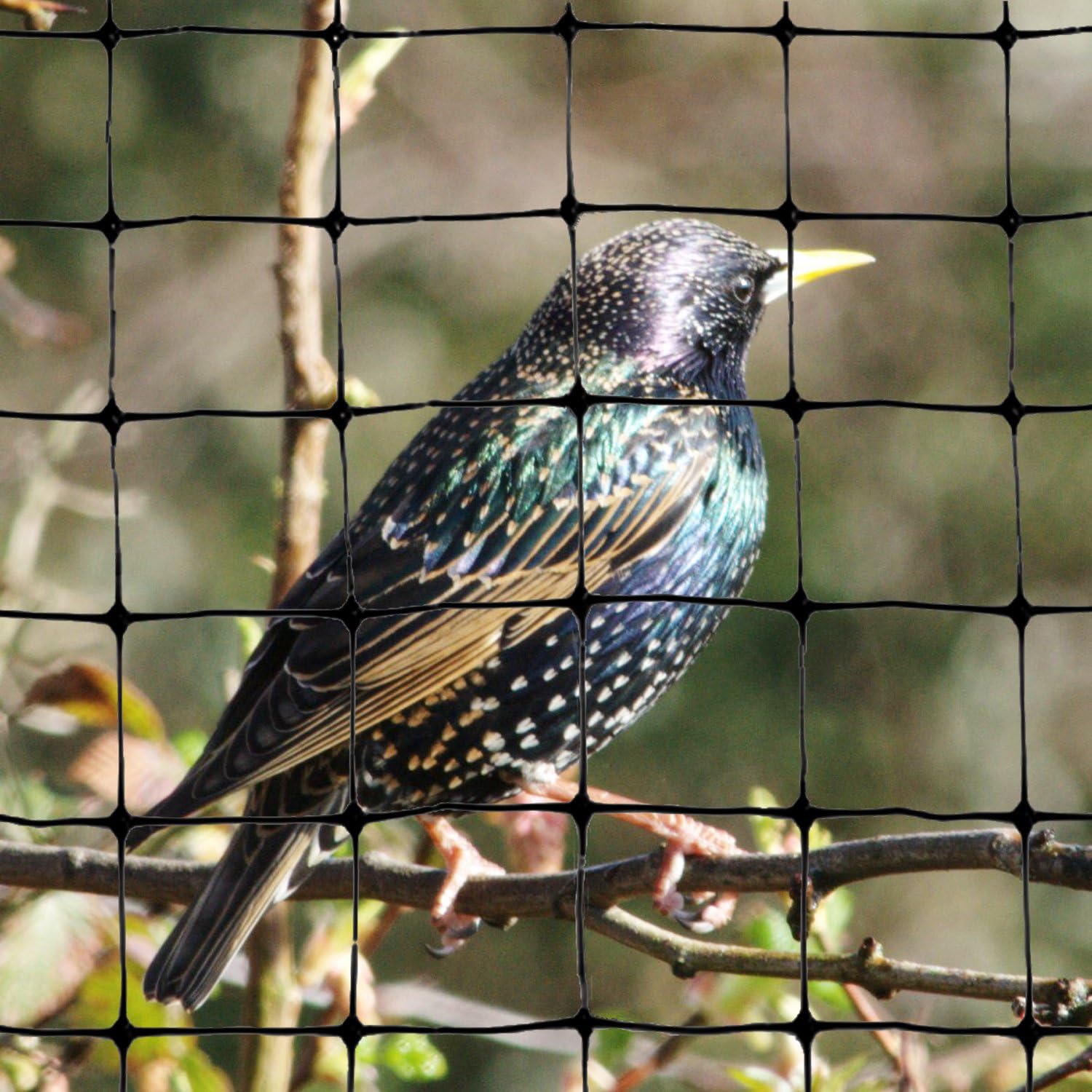 Amazon.com : Bird-X PE-Plus Premium Bird Net, Ideal for Gardens and ...