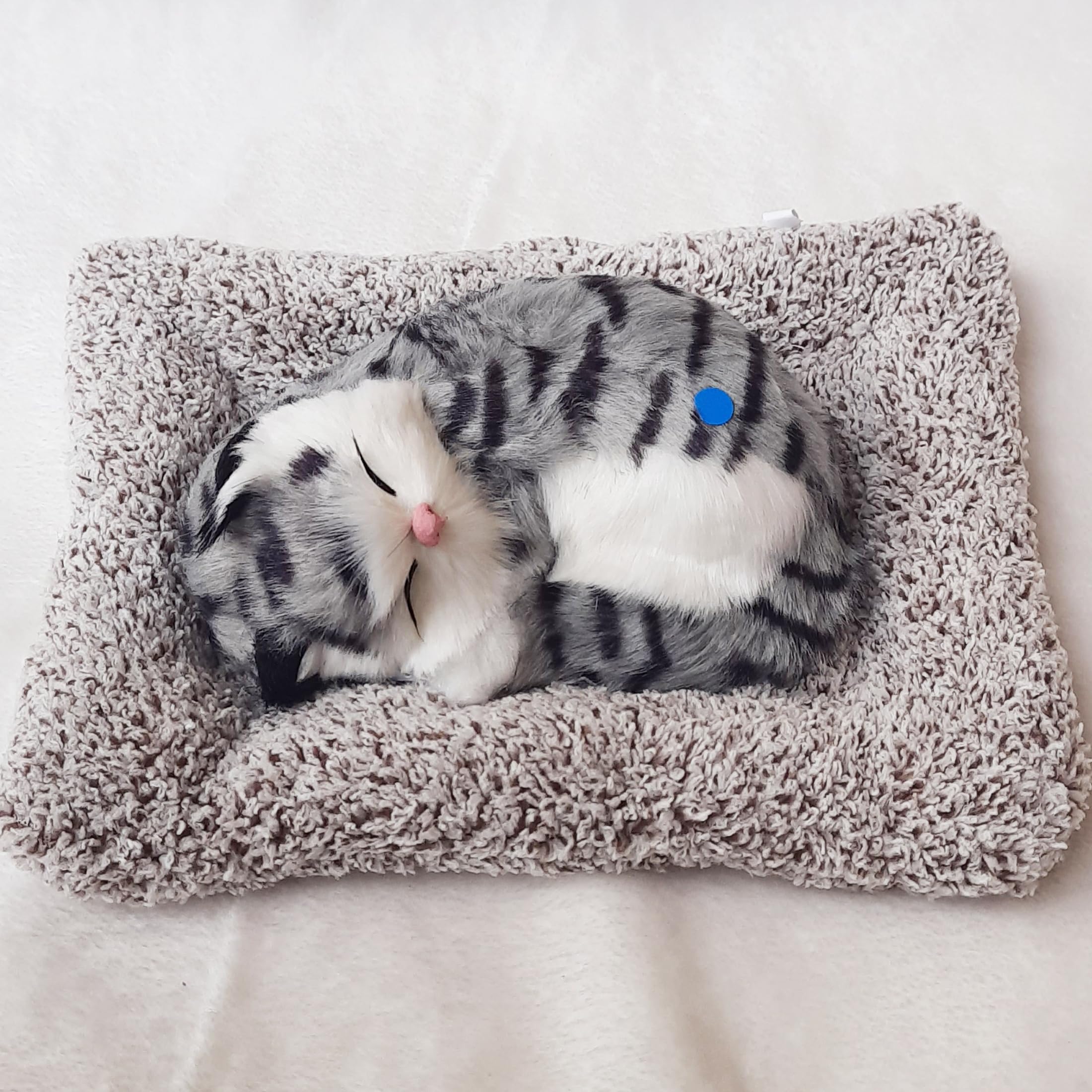 Buy Himaja Soft Toys | Ultra Soft Cute Cat with Matt | Gift for Boys ...