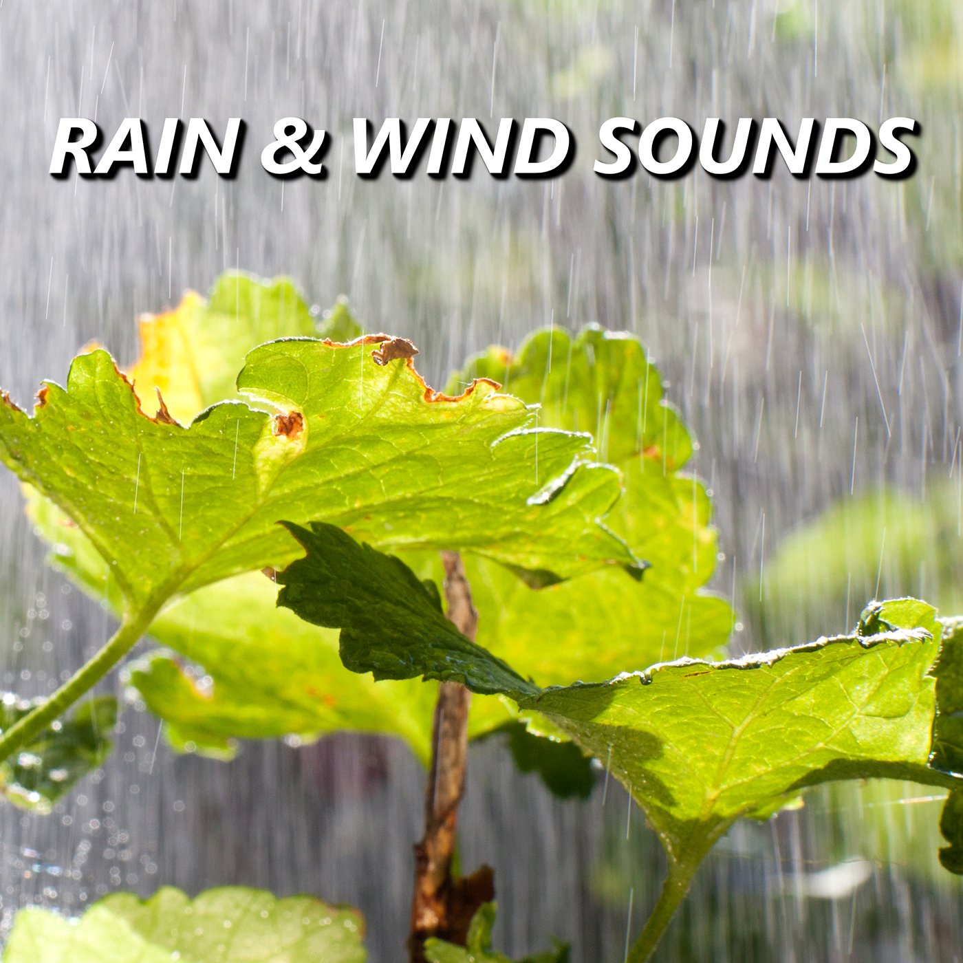 Heavy Wind, Rain, and a Porch Swing song by Natsoun, Anthony's Sleep ...