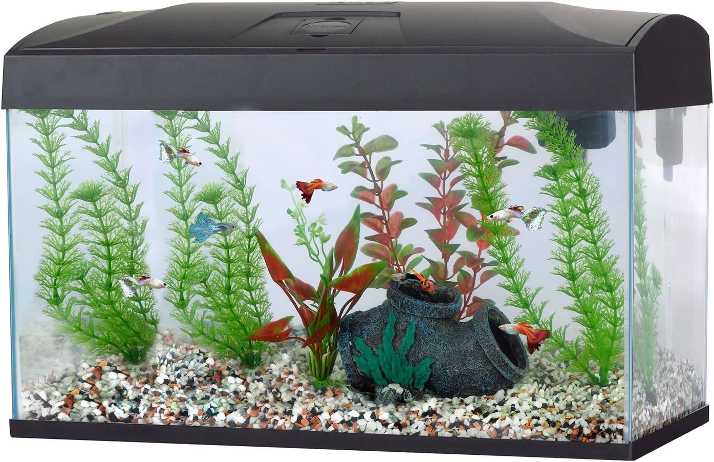 Fish 'R' Fun Rectangular Aquarium, 54 Litre Capacity, Black : Amazon.co ...