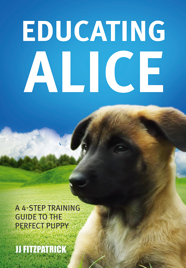 Amazon.co.uk: J J Fitzpatrick: books, biography, latest update