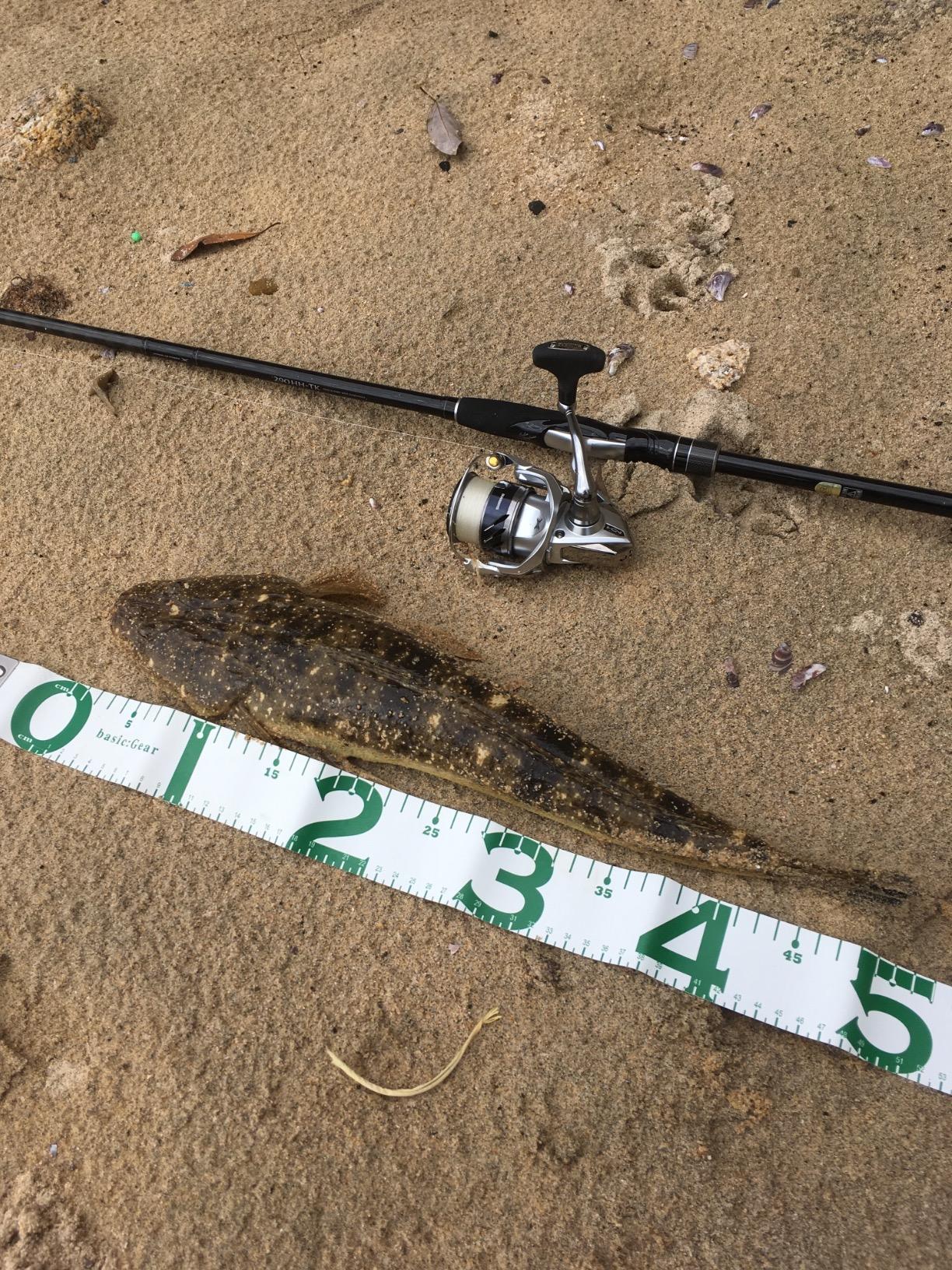 Amazon | シマノ(SHIMANO) スピニングロッド ボーダレス 磯 290HH-TK 2.9m | シマノ(SHIMANO) | 投げ竿