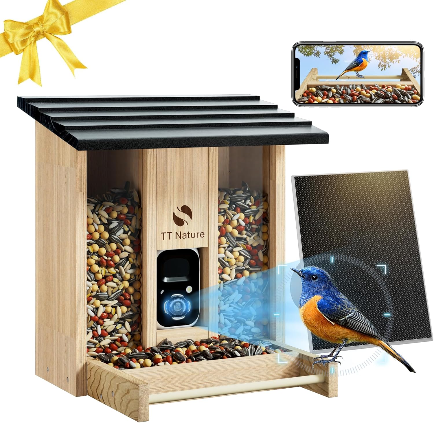 Amazon.com: TT Nature Smart Bird Feeder with Camera, AI Identifies ...