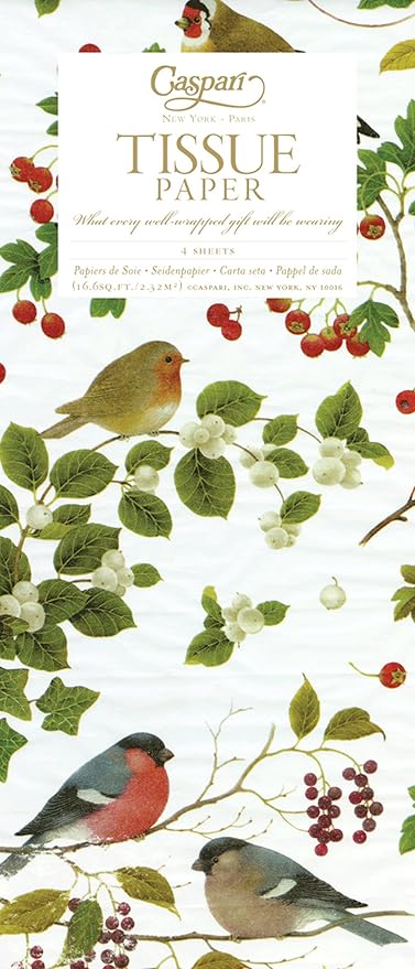 Amazon.com: Entertaining with Caspari Tissue Paper, Winter Birds, 4 ...