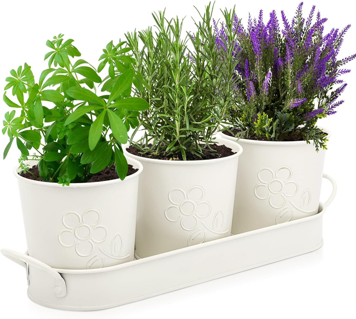 Amazon.com : Jkwokback Indoor/Outdoor Herb Garden Planter Set - Metal ...