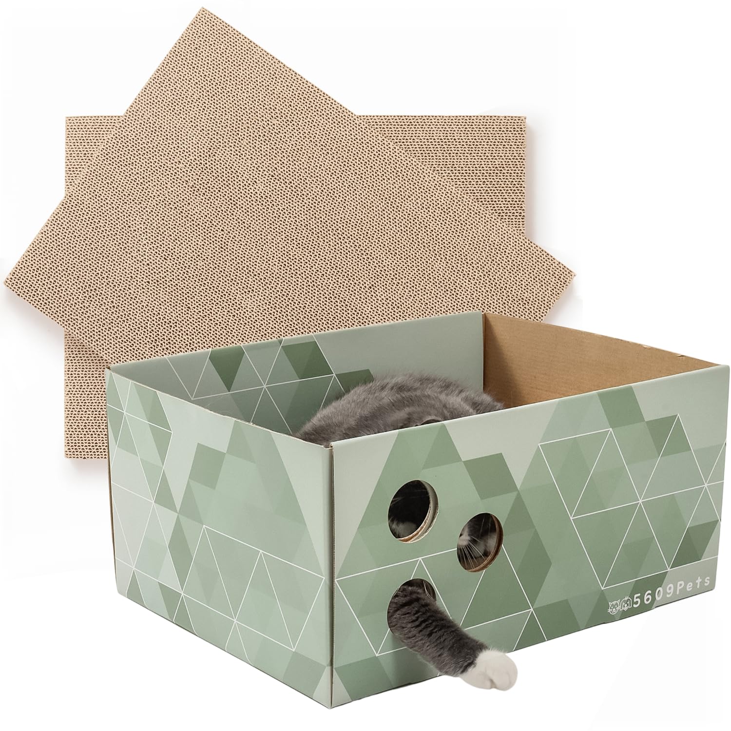 Amazon.com : 5609PETS Cat Scratch Box with 3 Scratcher Pads : Pet Supplies
