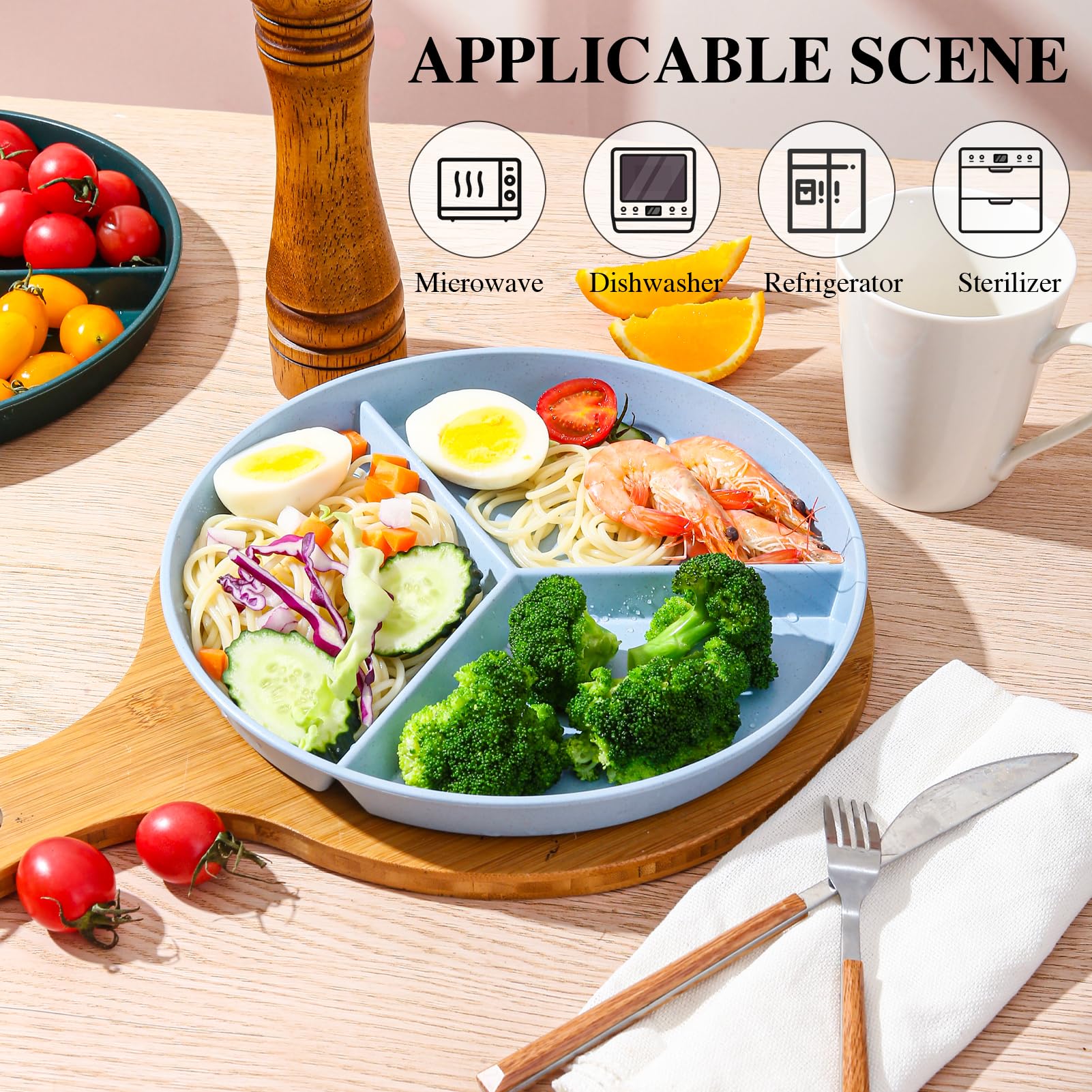 Snapklik.com : DYB DONGYONGBAO Portion Control Plate 9.6 Inch 5 Piece