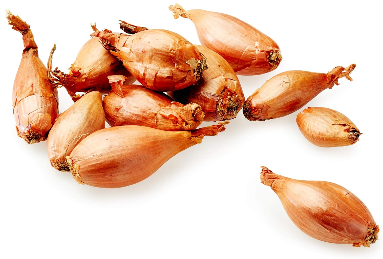 *old*Schalotten lang, 250 g : Amazon.de: Lebensmittel & Getränke