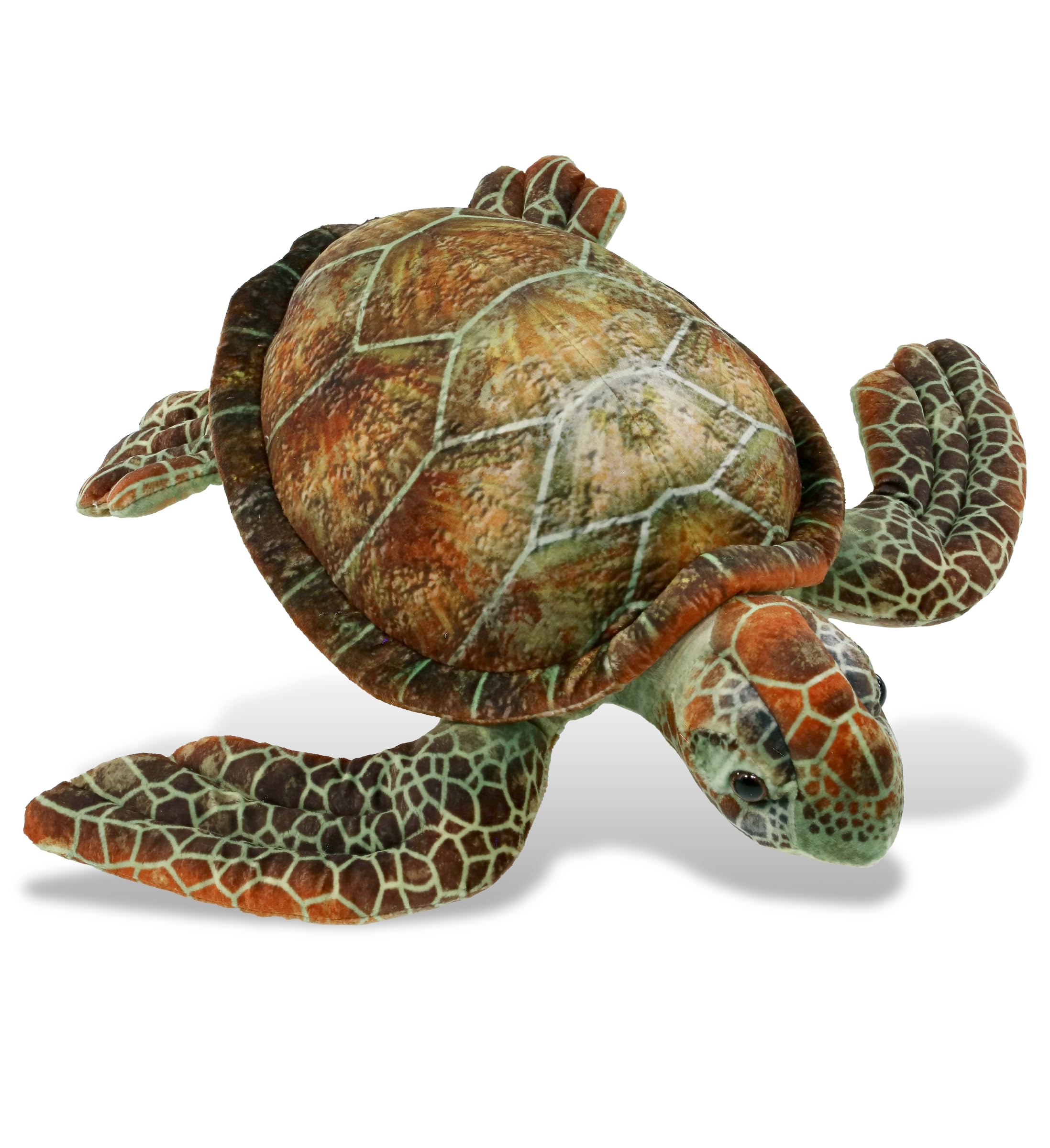 Amazon.com: DolliBu Sea Turtle Stuffed Animal - Huggable Turtle Plush ...