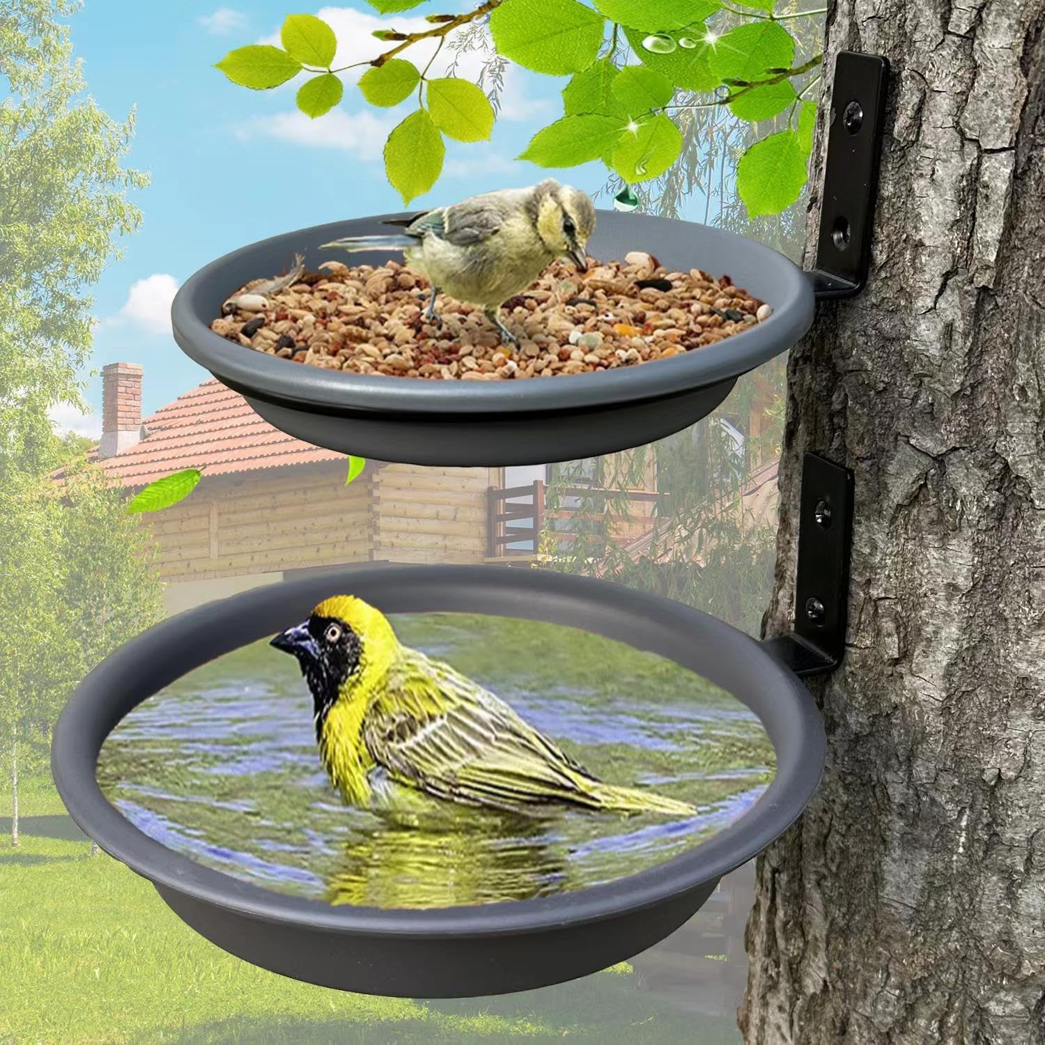 Amazon.com : AOXEXOB 2 Bird Feeders Tree Mounted, 6" and 8" in Diameter ...