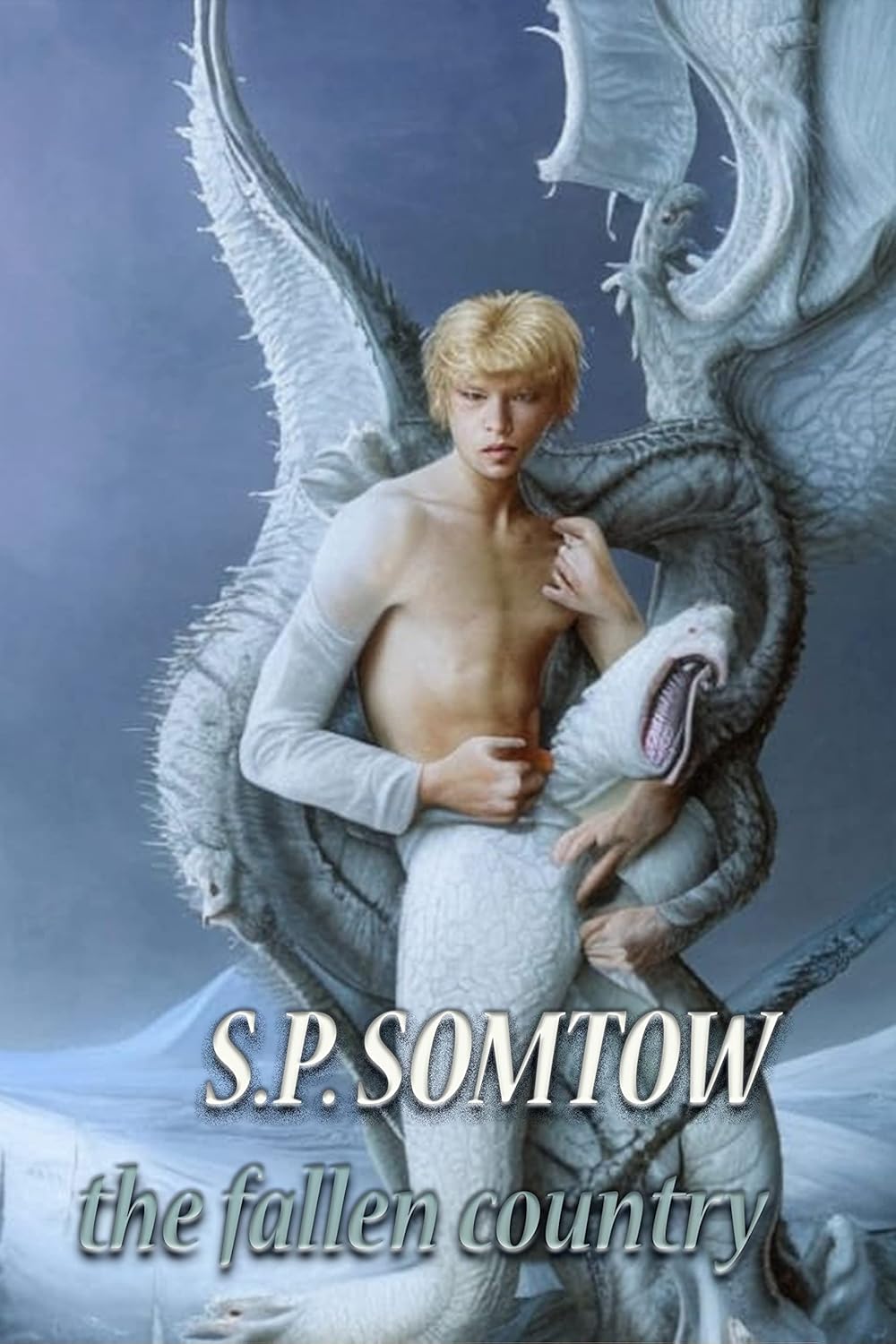 The Fallen Country (S.P. Somtow's Young Adult Novels) eBook : Somtow, S ...