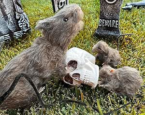 Amazon.com: GiftExpress 3Pcs 22” Fake Furry Rats for Halloween Indoor ...