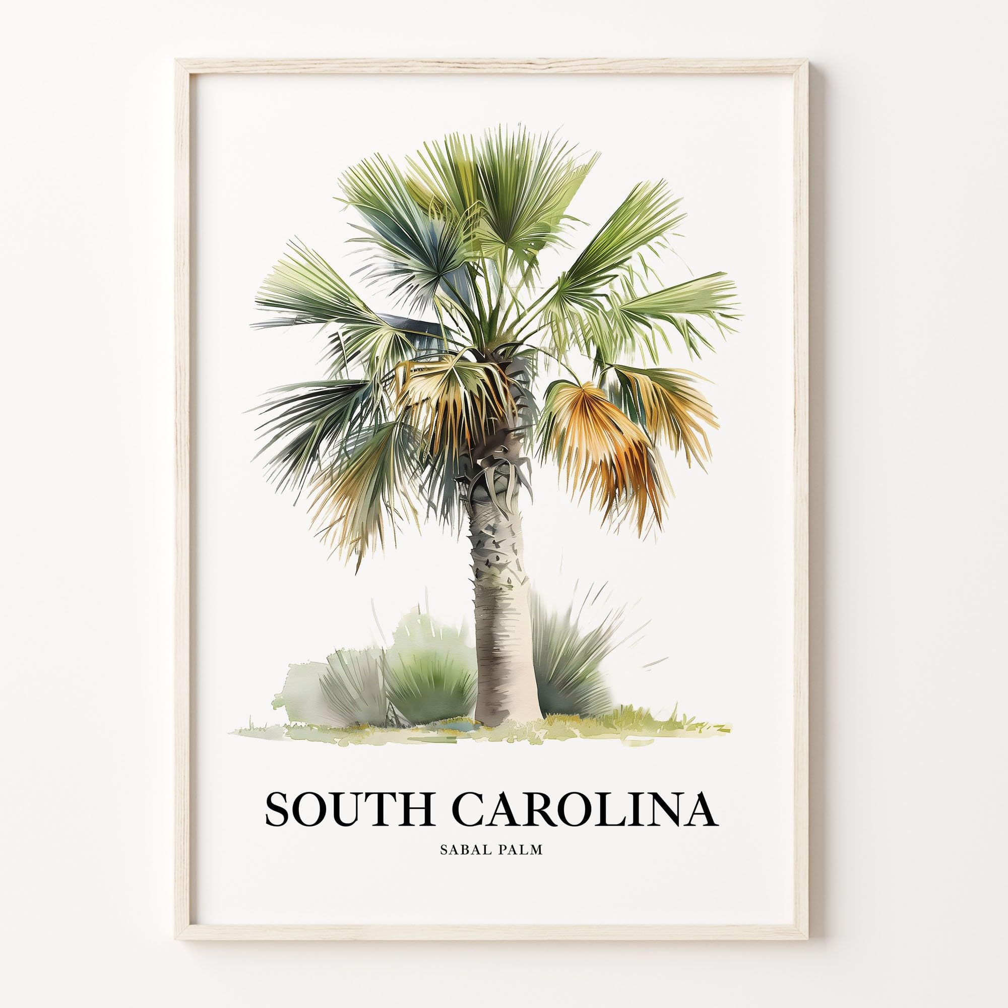 South Carolina State Tree South Carolina State Tree, Palmetto Tree