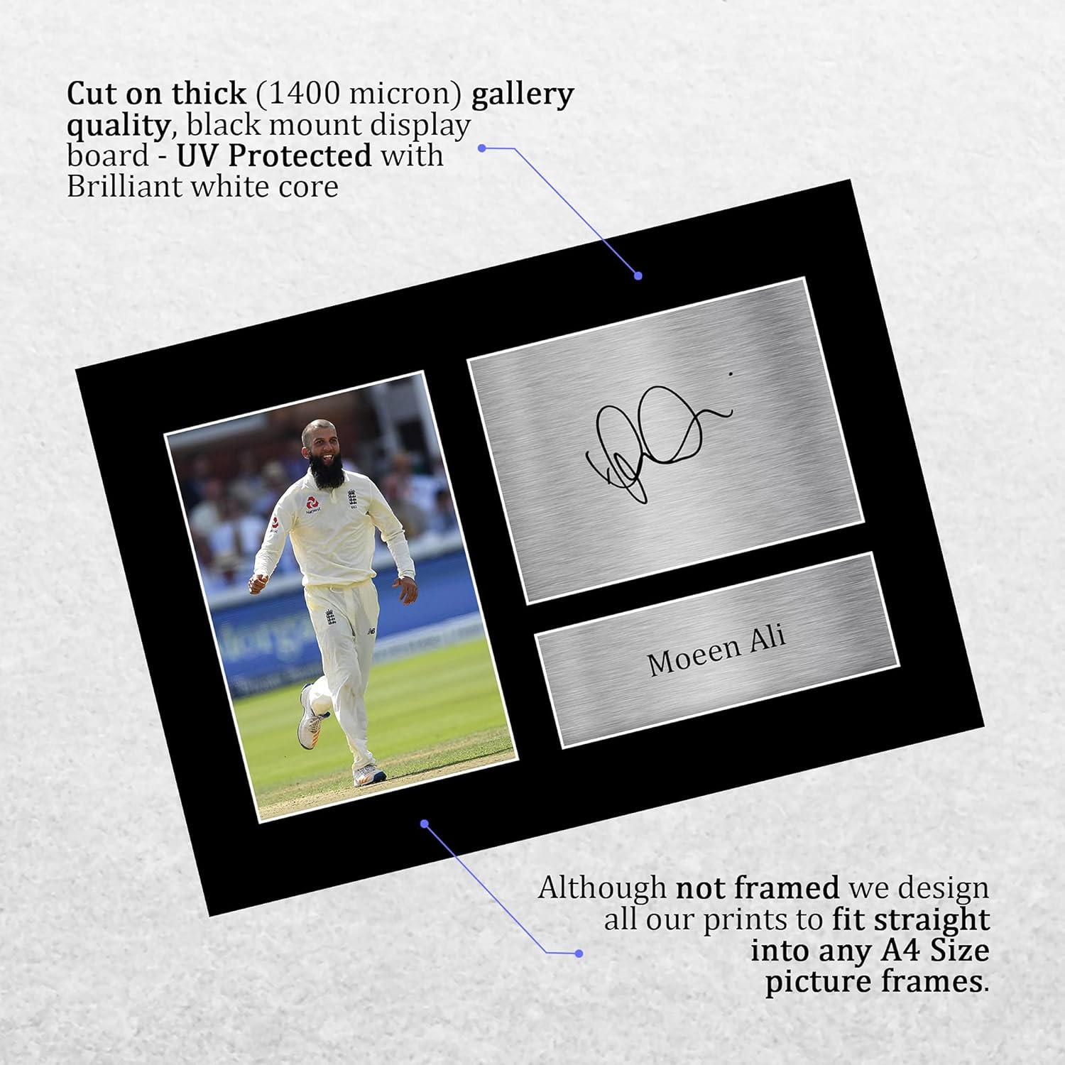 HWC Trading A4 Moeen Ali England Cricket Team Gifts Printed Signed ...