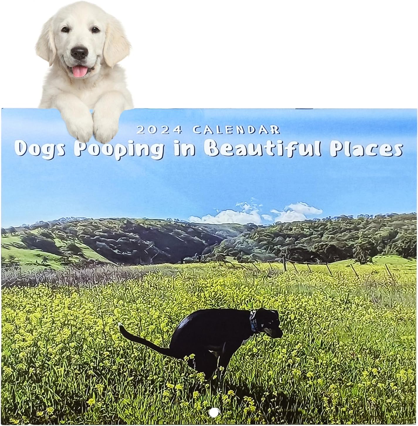 Amazon.com: Dogs Pooping in Beautiful Places Calendar 2024 Wall ...