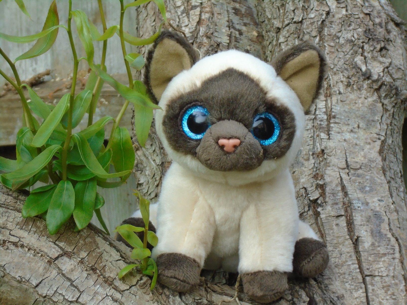 TY Beanie Babies Plush - Jaden the Siamese Cat 15cm : Amazon.co.uk ...