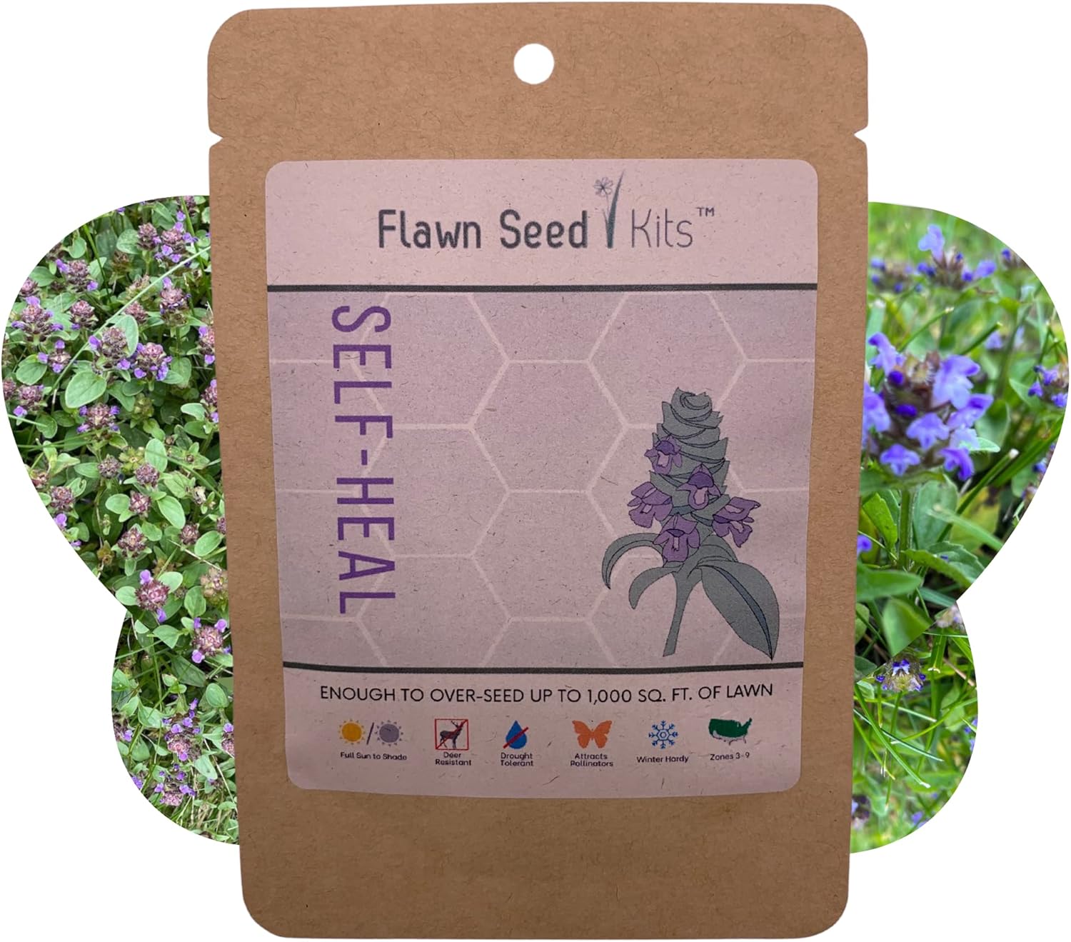 Amazon.com : Flawn Seed Self-Heal Flowering Lawn Seed - 1000 sqft - Kid ...