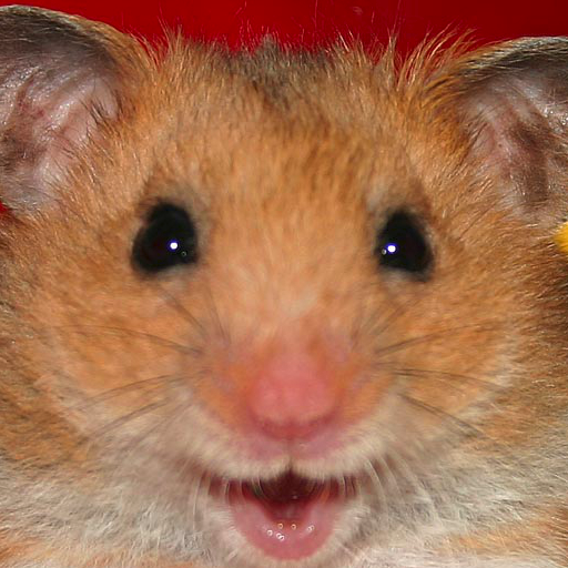 Rationalization Hamster - App on Amazon Appstore