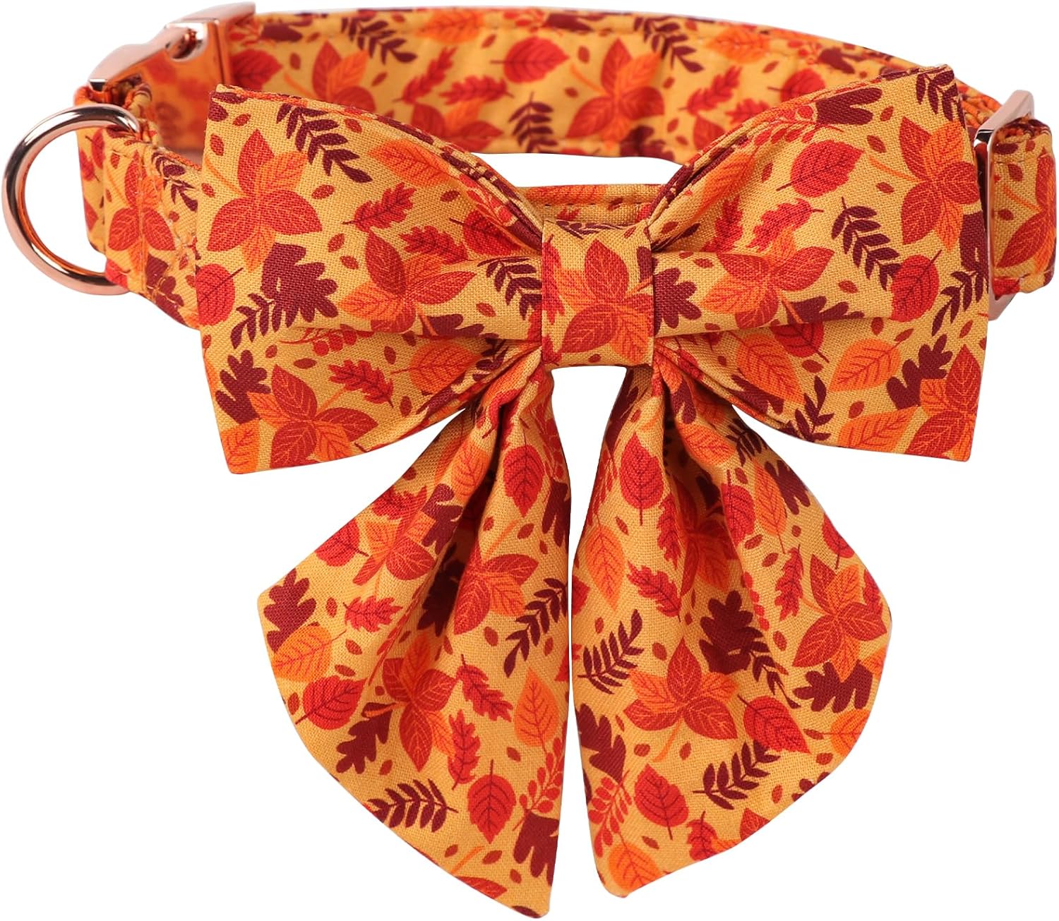 Amazon.com : Lionet Paws Dog Collar with Bowtie - Cute Cotton ...