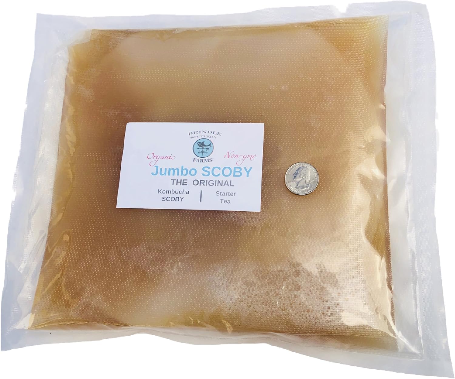 Amazon.com: Jumbo Kombucha SCOBY: 10" - 12" Commercial Grade Premium ...