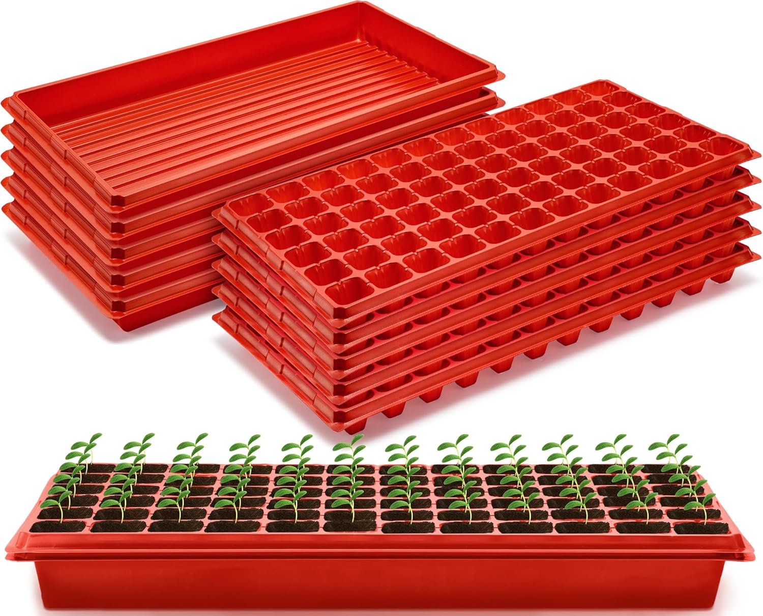 Amazon.com : Domensi Seed Starter Kit 72 Cell Seedling Trays and 1020 ...