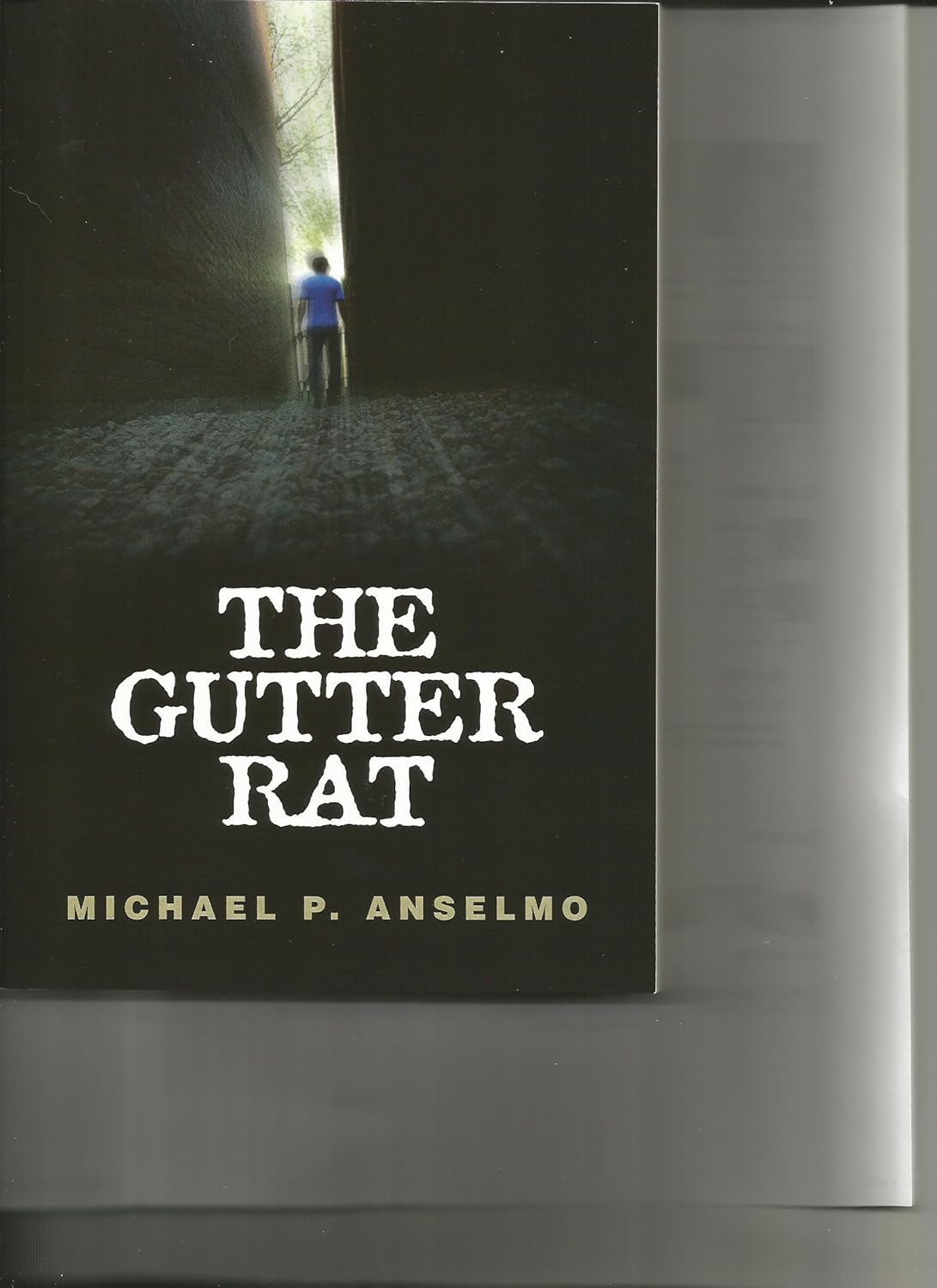 The Gutter Rat: Michael P. Anselmo: 9781570878190: Amazon.com: Books