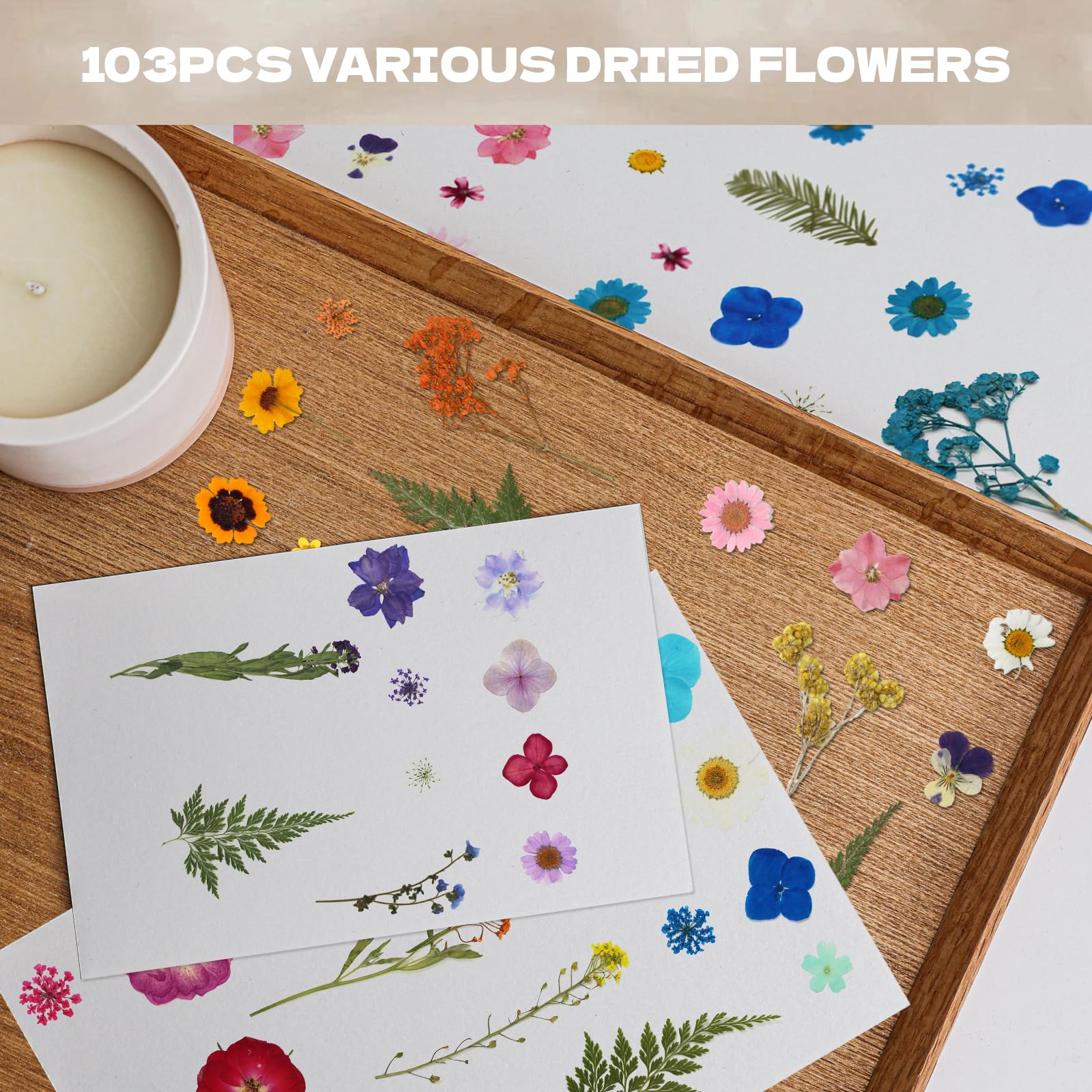 Snapklik.com : Dried Flowers For Resin, 103pcs Natural Flowers And ...