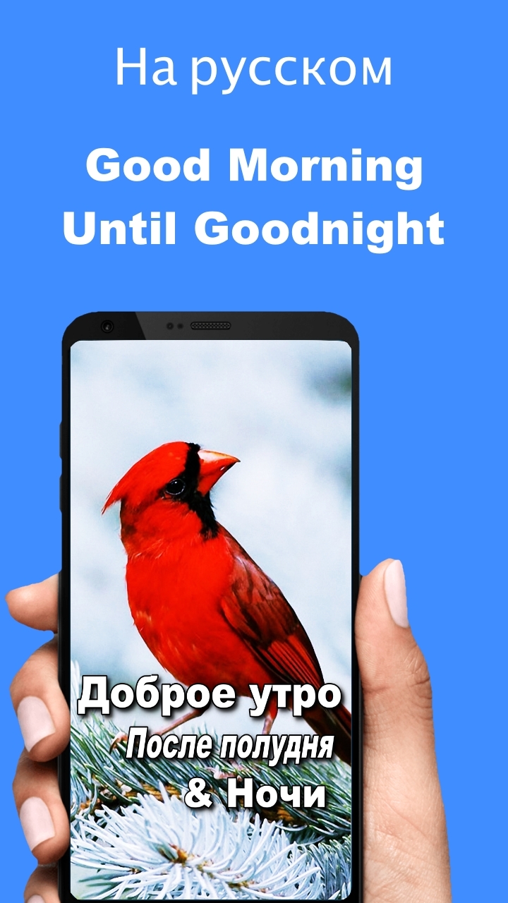 Russian Good Morning Afternoon & Good Night Wishes - App on Amazon Appstore