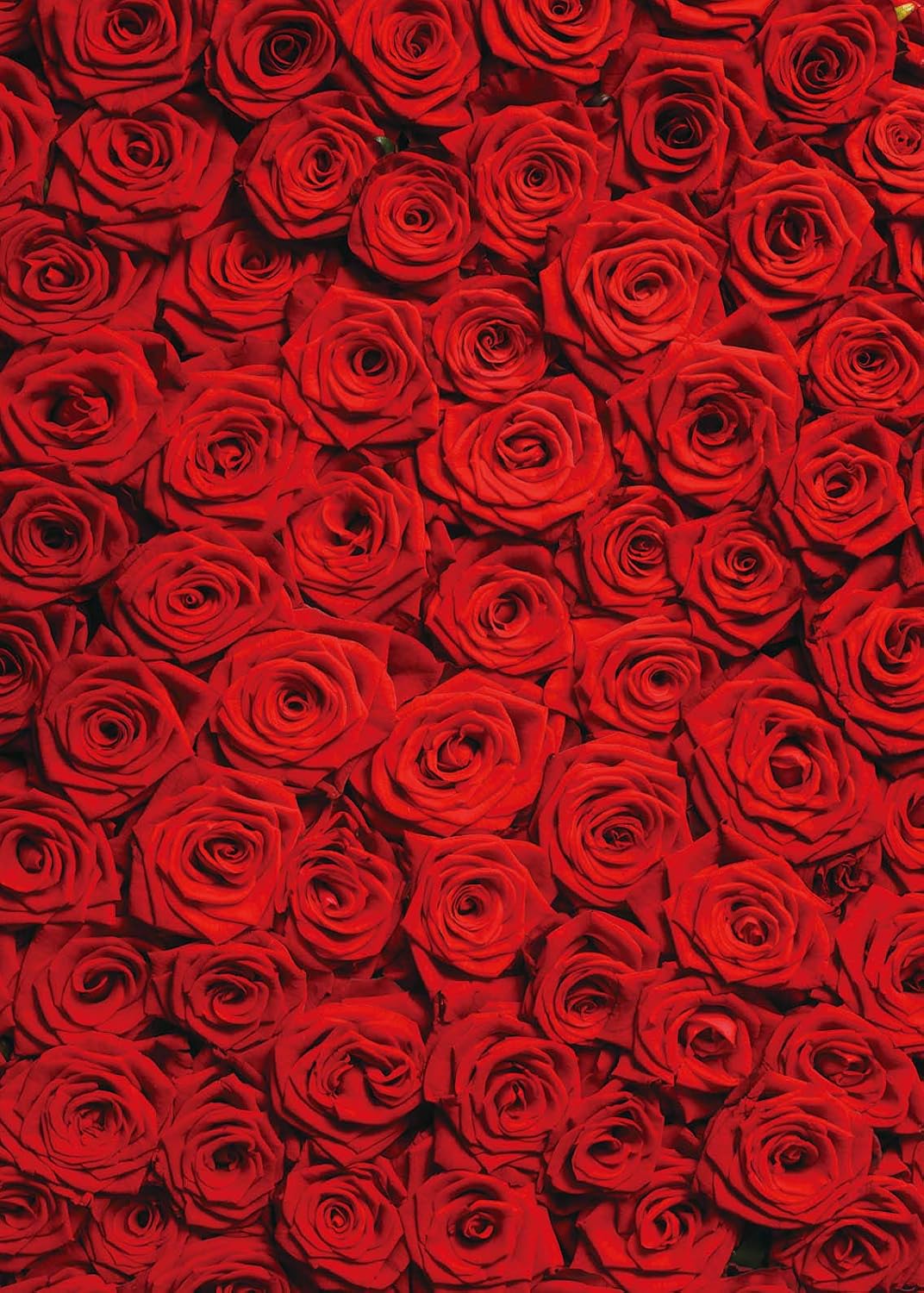 Amazon.com : RUINI Red Rose Floral Wedding Photography Backdrop Rose ...