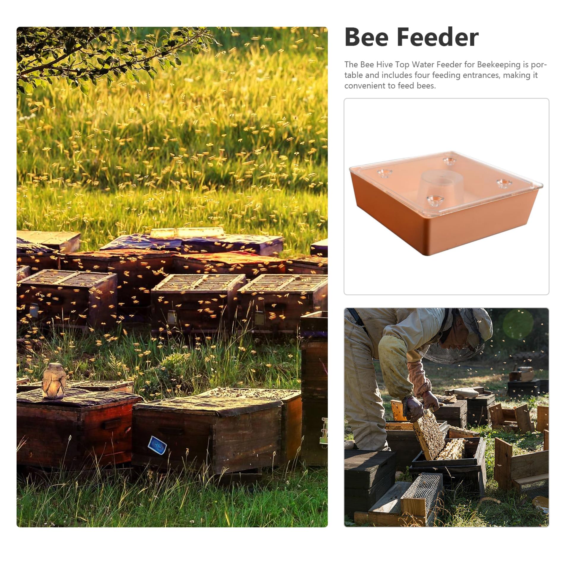 Bee Revival Kit Round Rapid Feeders Hive Top Rapid Bee Feeder White ...